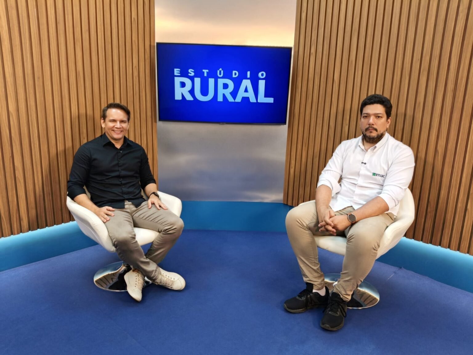 Como diferenciar macaxeira de mandioca brava? Agrônoma explica – agro.mt