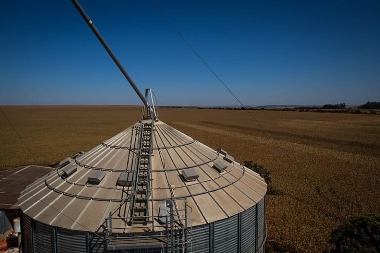 Armazenagem cresce no Brasil, mas segue abaixo da produção – agro.mt